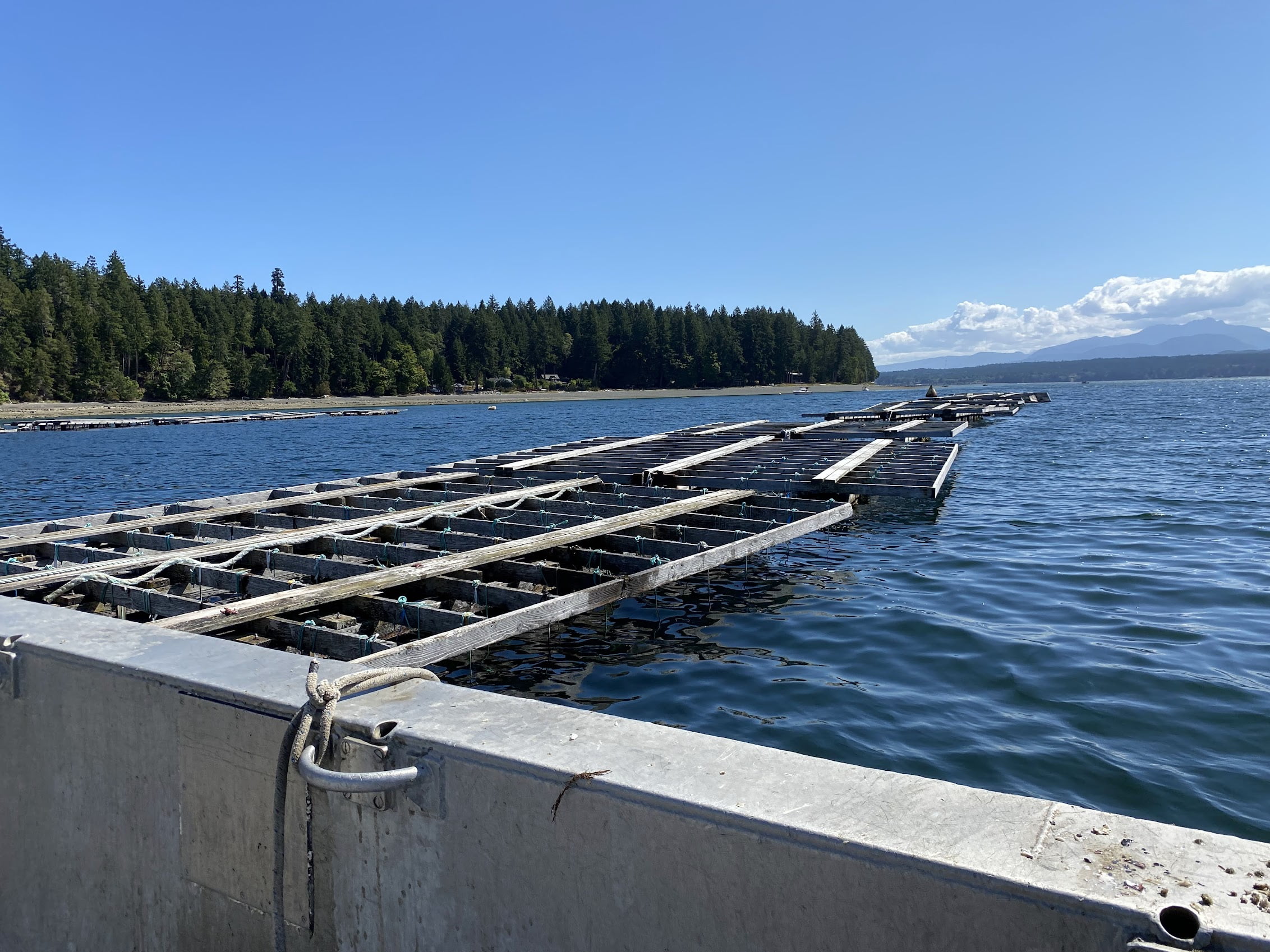 About Smokey Bay Seafood Group