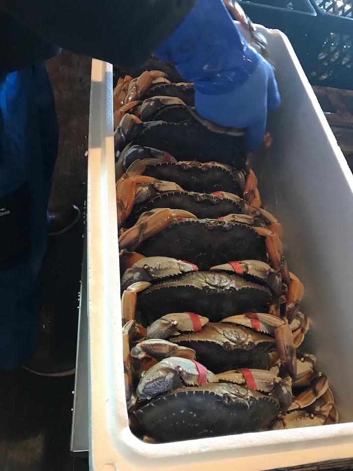 Dungeness Crab: What Makes It the Best Choice? | Smokey Bay Seafood