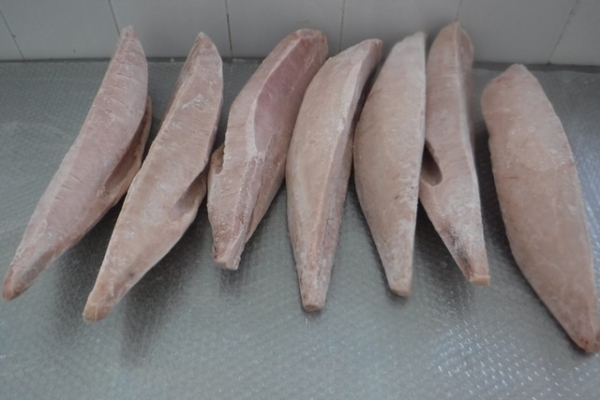 Albacore Tuna: What to know when buying | Smokey Bay Seafood